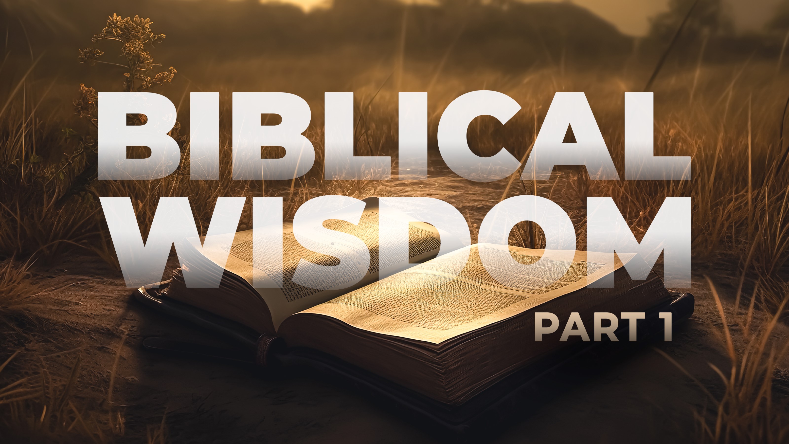 God Has a Storehouse of Wisdom for You | Wisdom Part 1